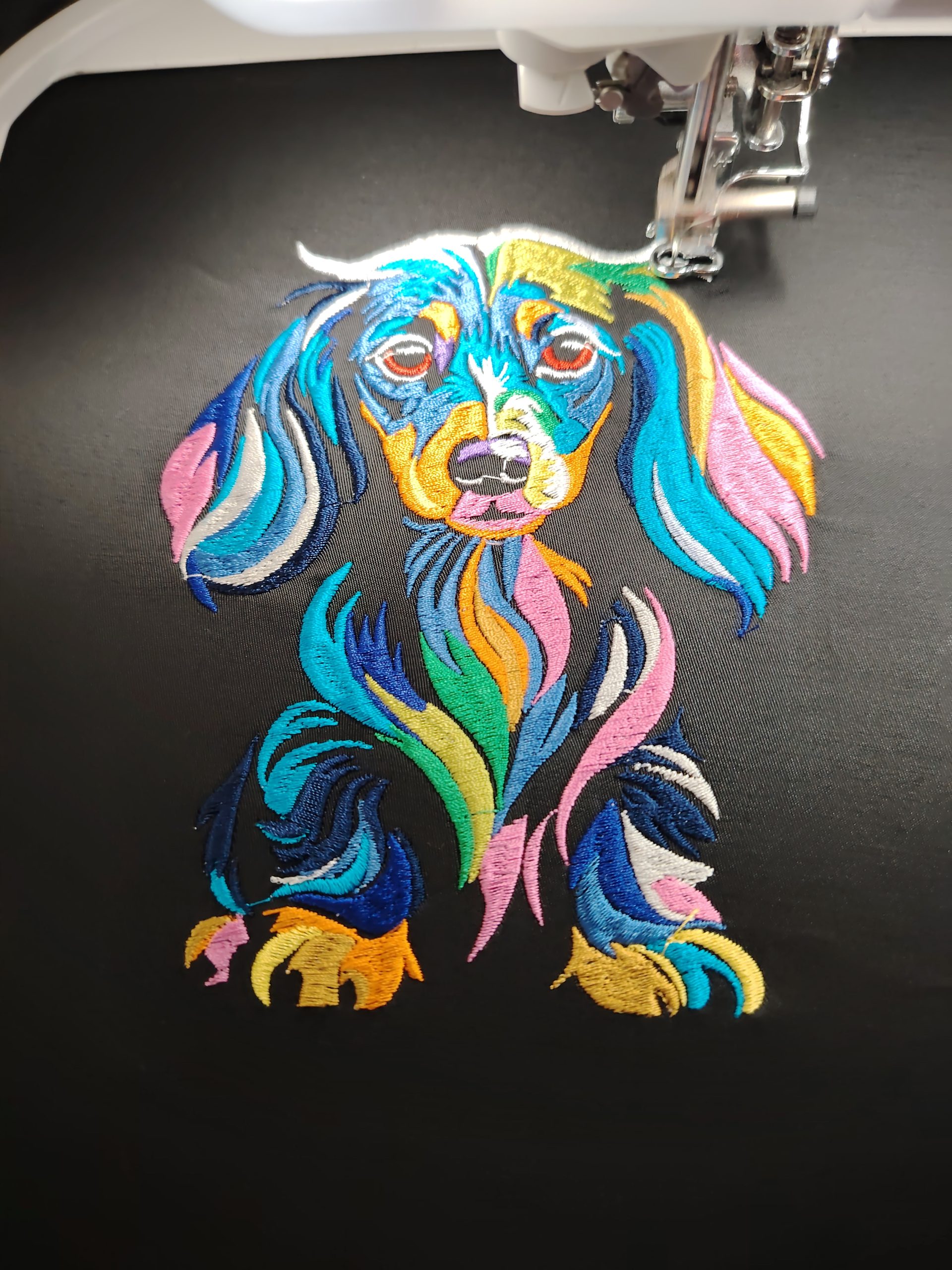 CATELUS COLORAT – Corina Art